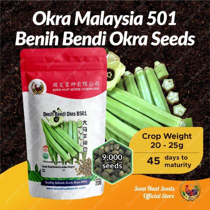 Benih Bendi Okra Seed 501 Malaysia [50 seeds/9,000 seeds] 大马羊角豆籽 Soon ...