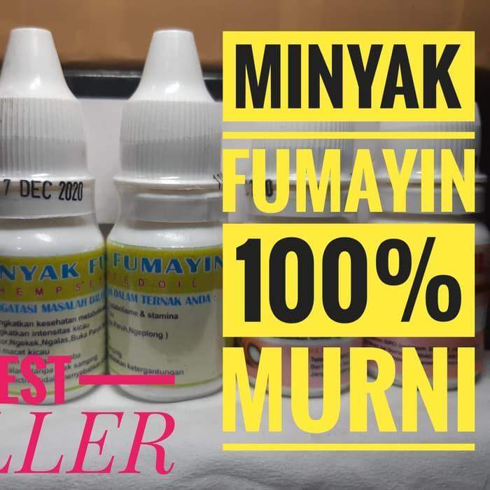 Minyak Fumayin Murni / Hemp Seed Oil | Lazada Indonesia