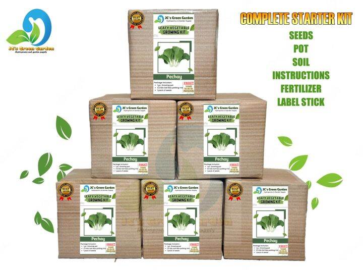 PECHAY GROWING KIT - READY TO USE/COMPLETE PACKAGE/POT/SOIL/SEEDS ...