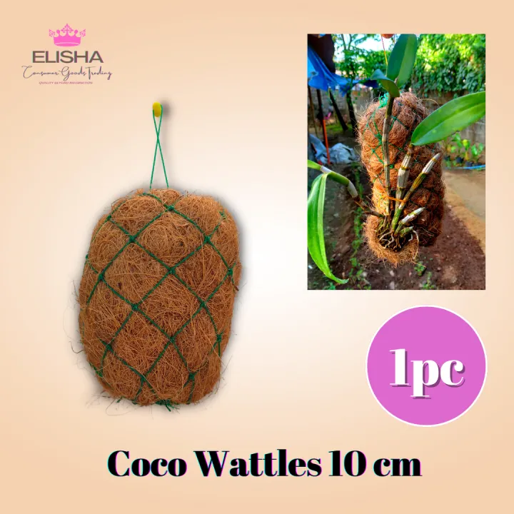 ELISHA l 10 Cm Coco Fiber Wattles Supports Healthy Growth of Orchids ...