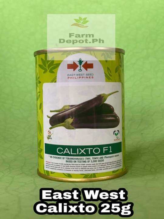 East West Seeds Eggplant Calixto F1 Can (25 grams) | Lazada PH