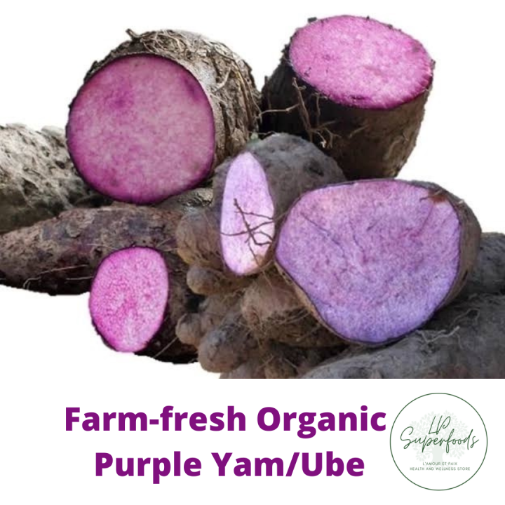 Ube Fresh Root | Lazada PH