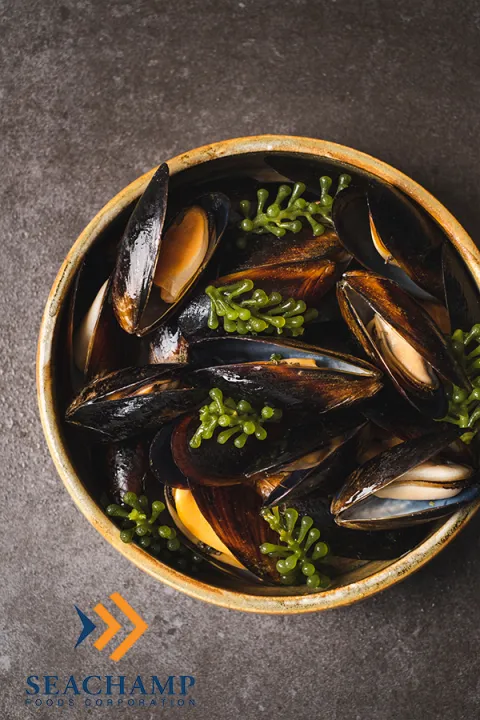 Seachamp Frozen Black Mussels Whole 454g | Lazada PH