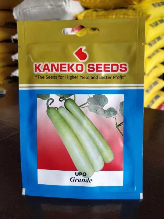 UPO (LONG GRANDE) SEEDS | Lazada PH