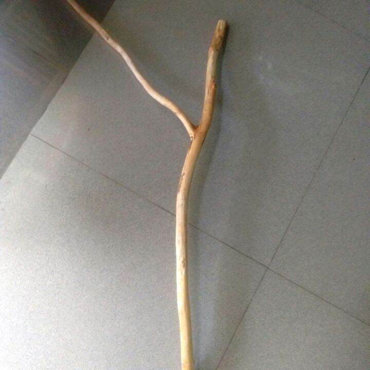 Ranting kayu jati cabang 50 cm - ranting kayu macrame | Lazada Indonesia