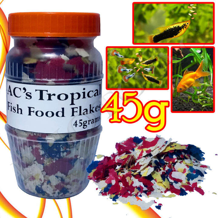 AC Tropical Fish Food Flakes-45grams | Lazada PH