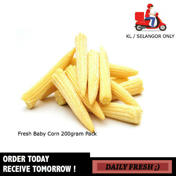 Fresh Baby Corn Jagung Kecil Sayur Segar 200gram Pack Fresh Vegetables ...