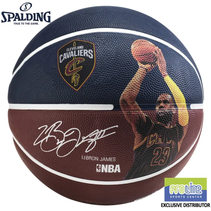 SPALDING NBA Player Lebron James Original Outdoor Basketball Size 7 ...
