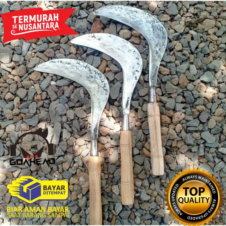 Arit Sabit Untuk Pemotong Rumput Ukuran Sedang - Alat Pengaritan ...