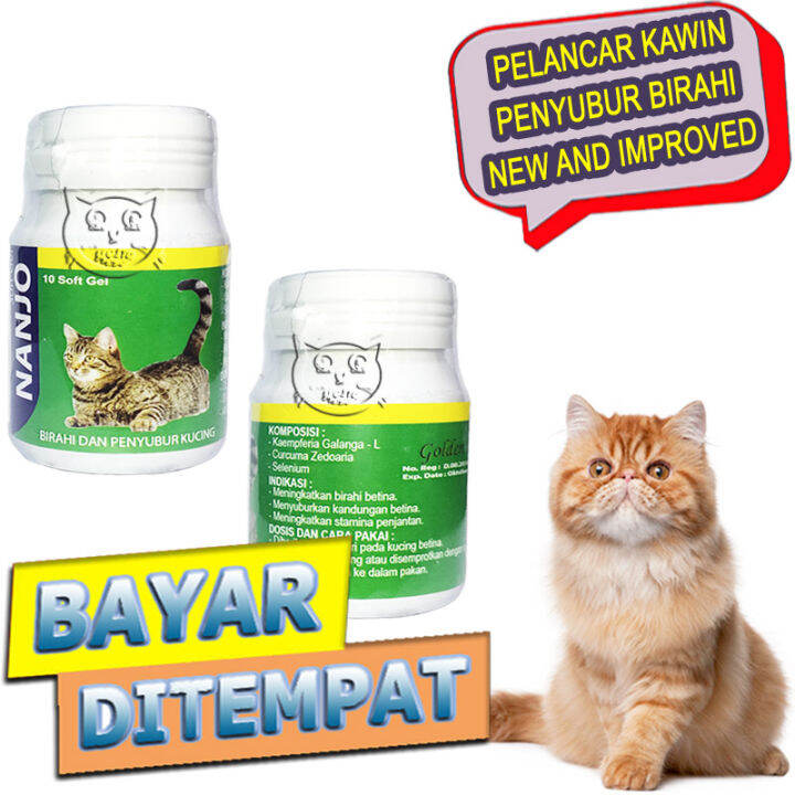Vitamin Kawin Kucing Obat Penyubur Birahi Nanjo Cat Softgel Completed ...