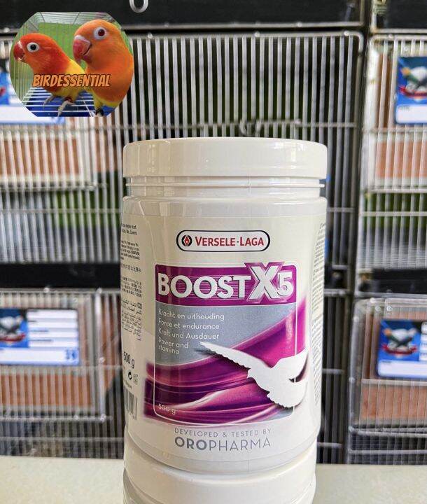 Versele Laga Boost X5 Powder 500g | Lazada PH