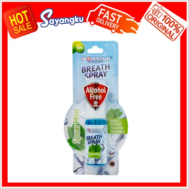 Pro Dental B Breath Spray Spear Mint - 20ml | Lazada