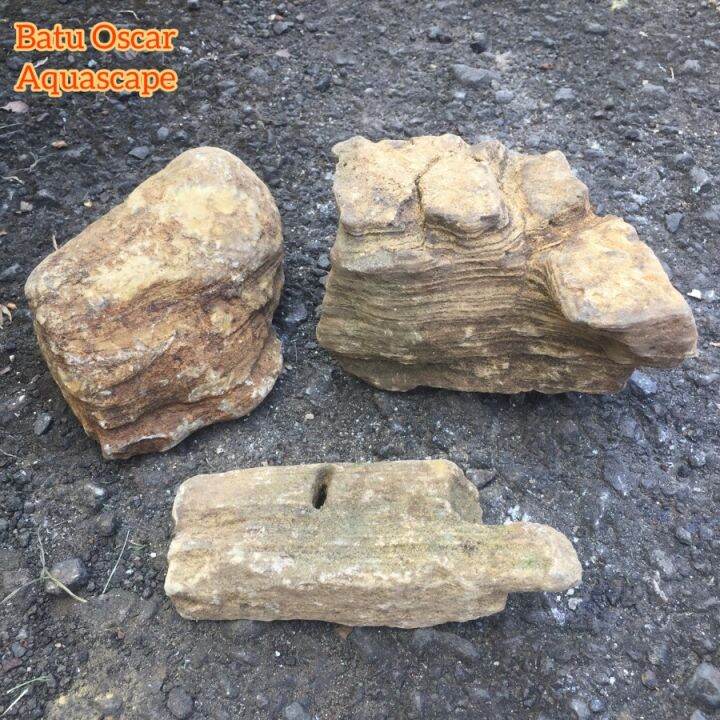 Batu Bobing Oscar Stone Aquascape Aquarium Paludarium Decor Taman Pot ...