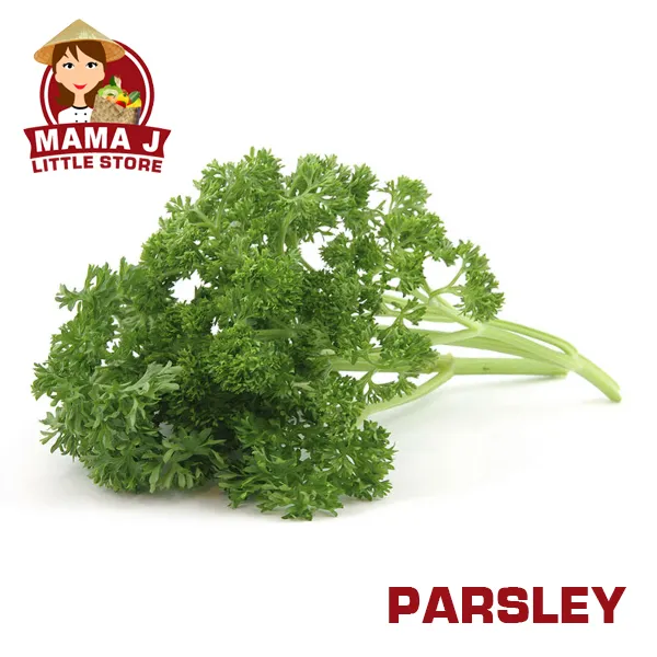 Parsley 1 pack | Lazada PH