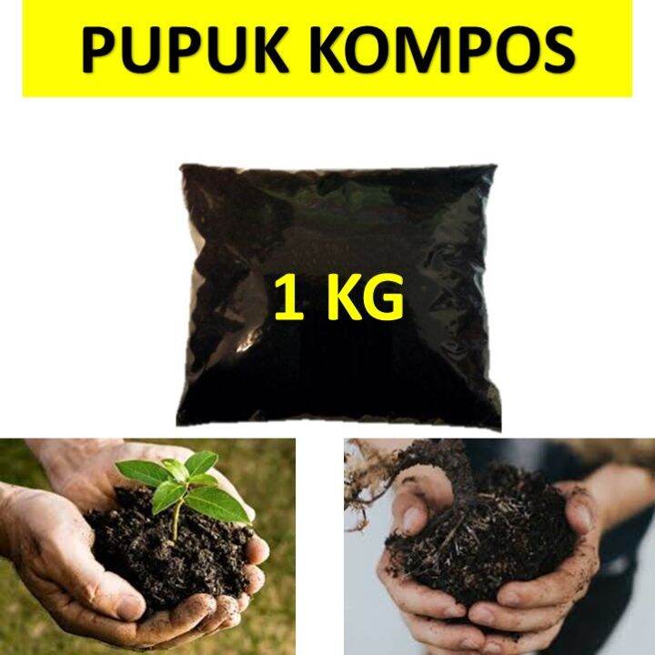 Pupuk Kompos Murni / Pupuk Organik - 1kg | Lazada Indonesia