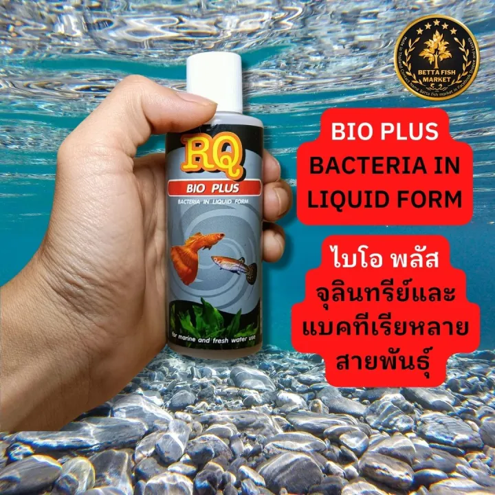 แบคทีเรียน้ำ สลายของเสียในน้ำ RQ BIO PLUS 120 ml สูตรเข้มข้น จุลินทรีย์ ...