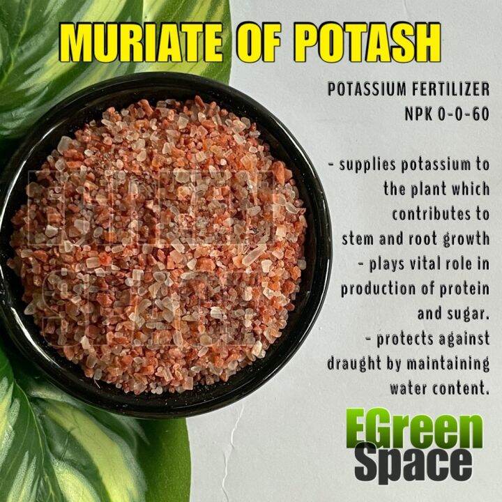 【2023】 Muriate of Potash Fertilizer (1KILO) Pellets | Lazada PH