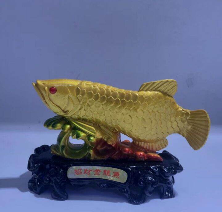 LUCKY CHARM AROWANA DISPLAY Arowana Fish Statue on wood strand good ...
