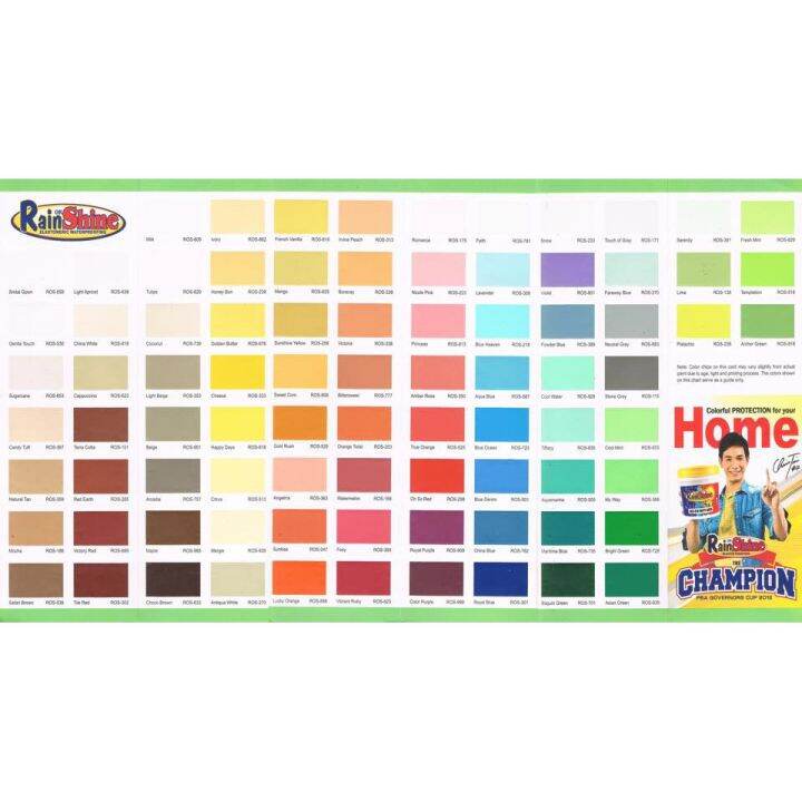 Rain or shine Wall/ Concrete Paint 16 Liters/ 1 timba | Lazada PH