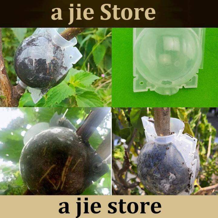A jie Store Plant Rooting Growing Ball Grafting Root Box Case Nursery ...