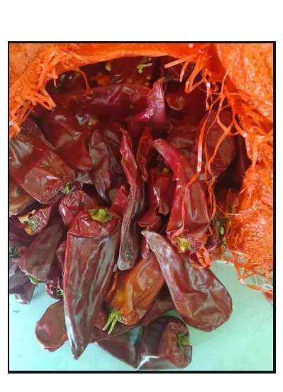 CILI KERING TAK PEDAS (PRIMIUM CILI,CILI CANTIK)500G | Lazada