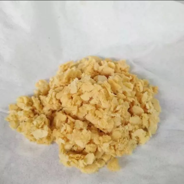 telur maggot lalat bsf murah | Lazada Indonesia