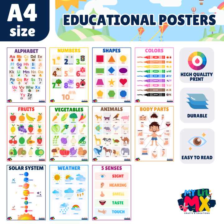 Educational Posters for Kids | Lazada PH