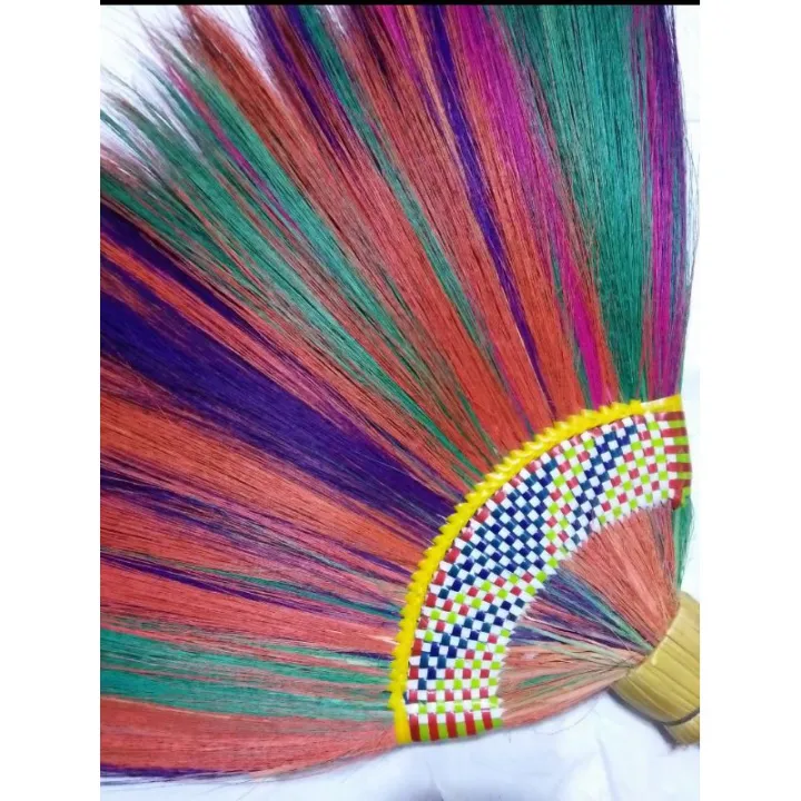 Unicorn Colored Walis Tambo / Baguio Soft Broom Back to Back | Lazada PH