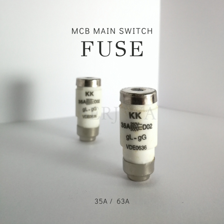 Fuse Link 35A/63A 250V MCB Main Switch Fuse | Lazada