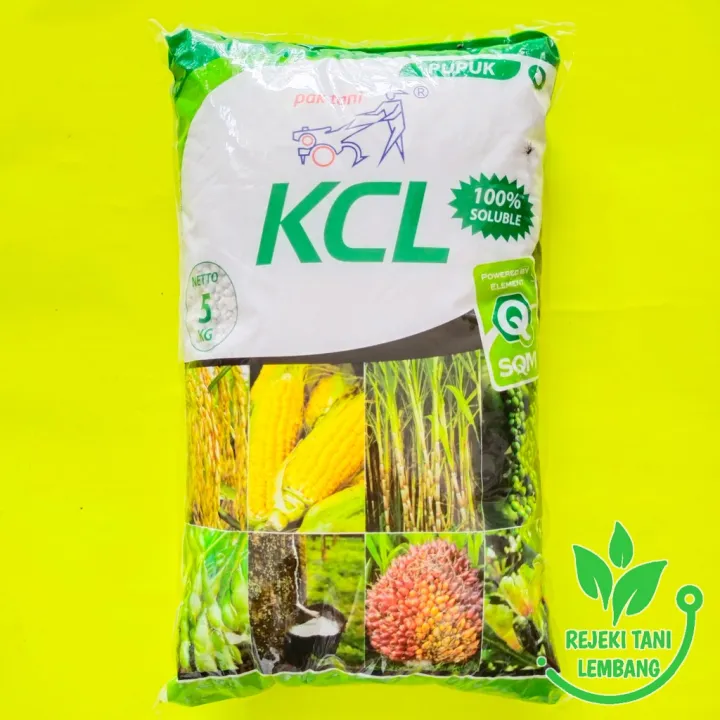 PUPUK KCL PUTIH PAK TANI ISI 5 KG | Lazada Indonesia