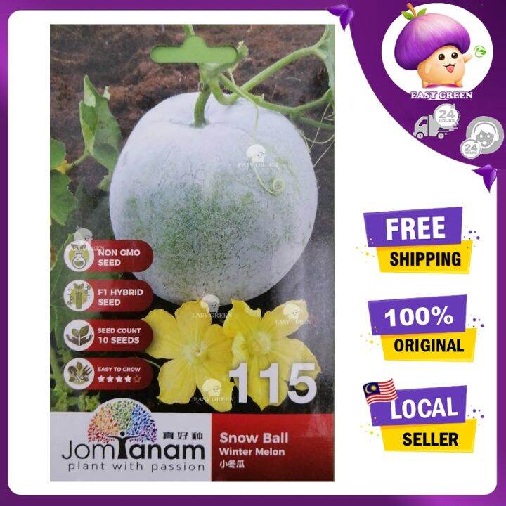 JT115 Melon snow/Tembikai Biji Benih Sayur Buah(10 Seeds)/ WINTER MELON ...