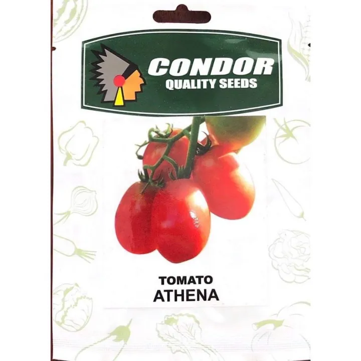 Condor Vegetable Seeds Eggplant Okra Ampalaya Patola Upo Sitao | Lazada PH