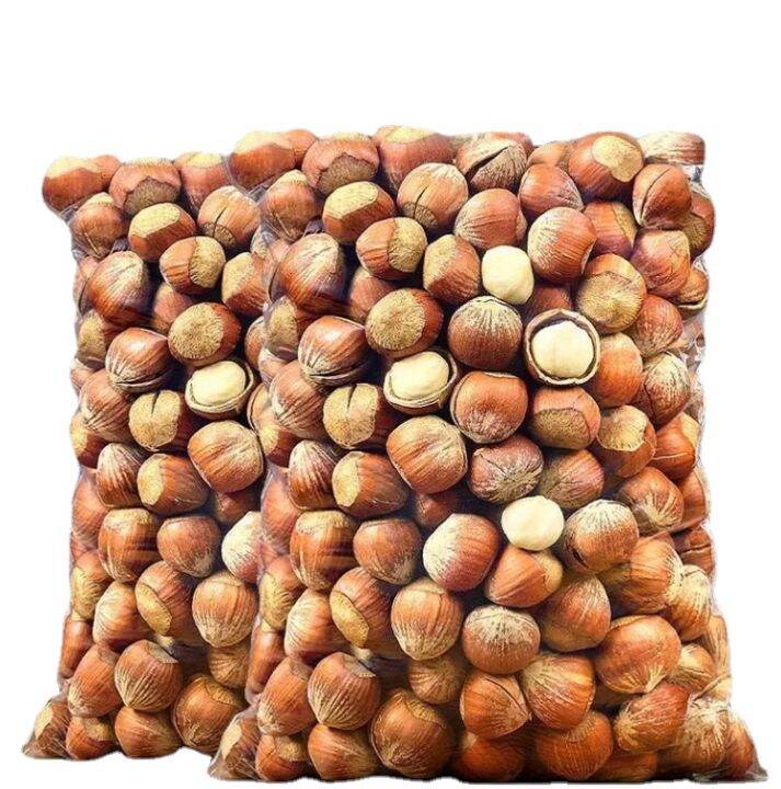 (SPOT) Open Ended Large Hazelnut Plain Fried Nut Snack 250g/500g ...