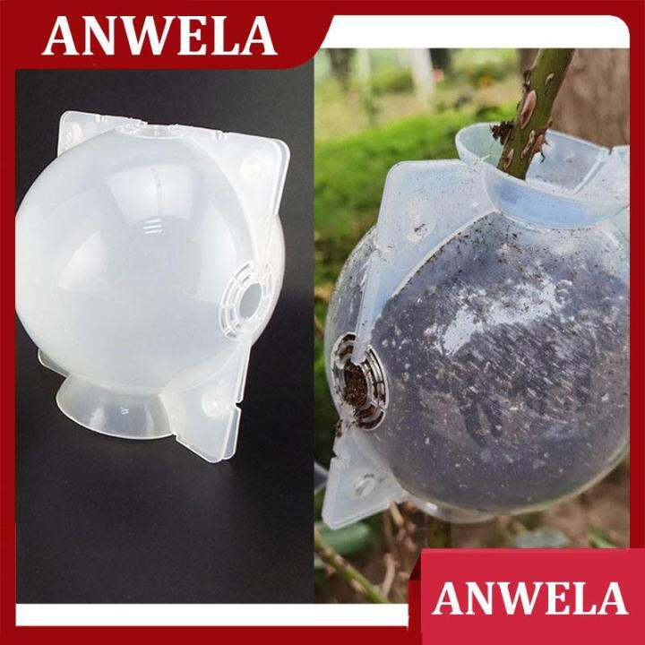 ANWELA 12cm Fruit Tree Plant Rooting Ball Root Growing Boxes Case ...