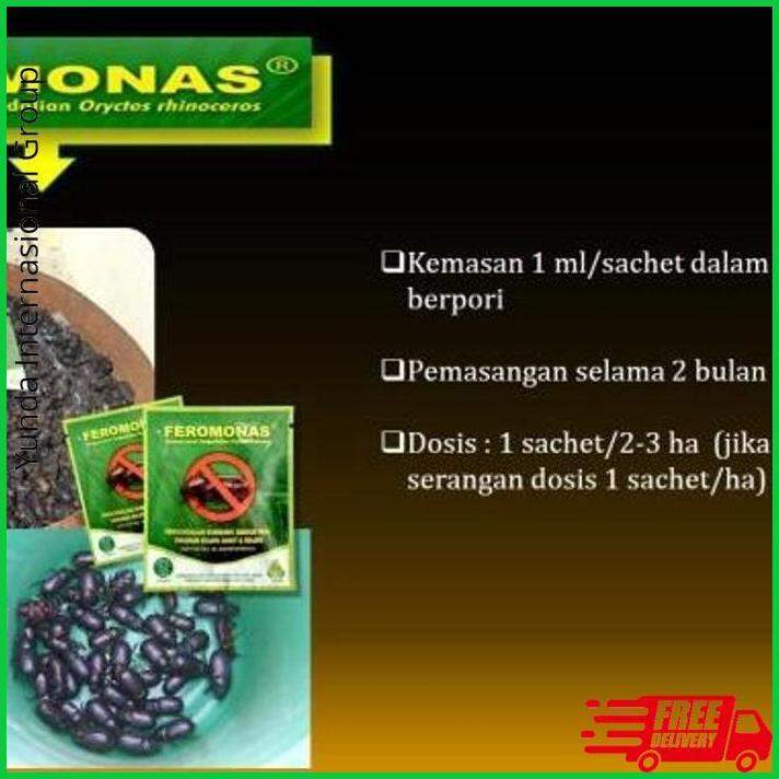 Feromonas Feromon Pengendali Hama Kumbang Tanduk Kualitas Premium ...