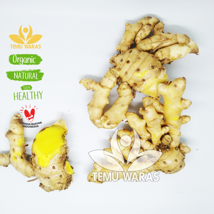 Temu Mangga Segar 1kg Organik Asli Gunung Kidul - Aroma Mangga Muda ...