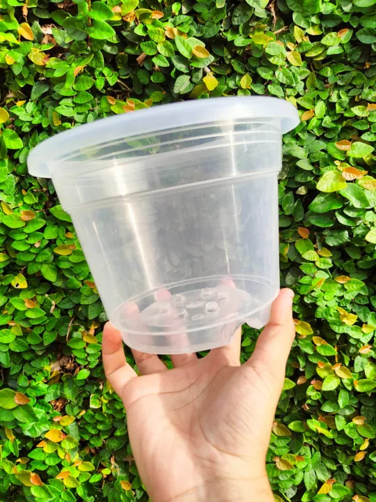 10pcs Clear Transparent Pot (5 inches x 4 inches) Best for Indoor ...
