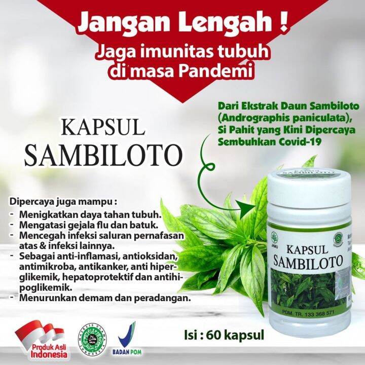 Kapsul Sambiloto Herbal Anti Virus dan Anti Bakteri isi 60 Kapsul ...