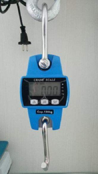 TIMBANGAN GANTUNG SAYAKI CRANE SCALE TYPE GSE CAP 300KG dan CAP 100KG ...