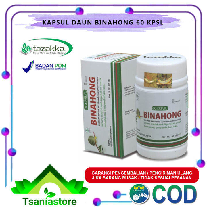 Tazakka Ekstrak Daun Binahong Asli Original Obat Herbal Luka Pasca Operasi 60 Kapsul. | Lazada ...