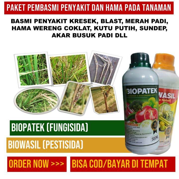 (Paket 2 Botol) Biopatek & Biowasil Pupuk Semprot Organik Cegah & Atasi ...