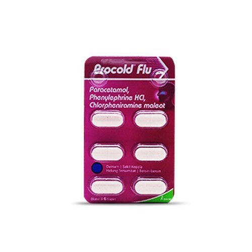 Procold Flu 1 LEMBAR | Lazada Indonesia