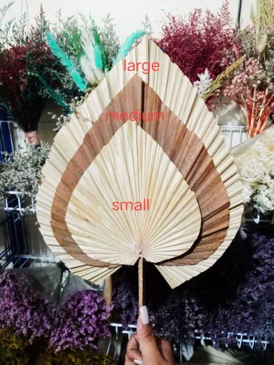 dessicated anahaw for decoration/tuyo | Lazada PH