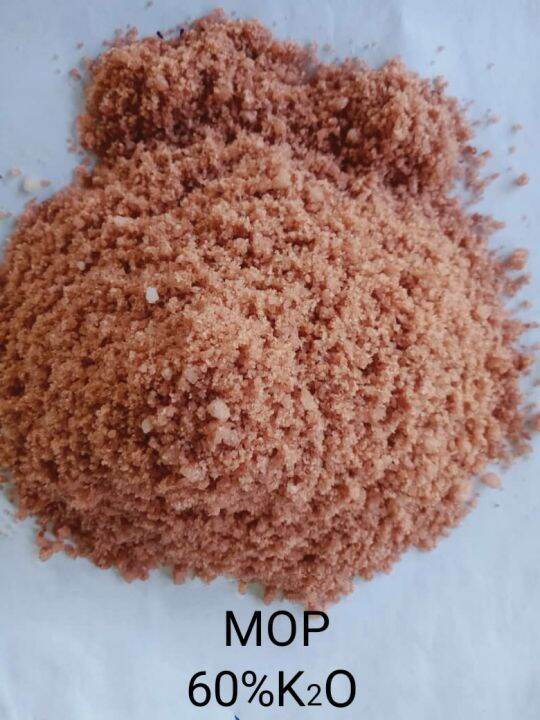 MOP 25KG - Fertilizer for plants (Baja) - MURIATE OF POTASH | Lazada
