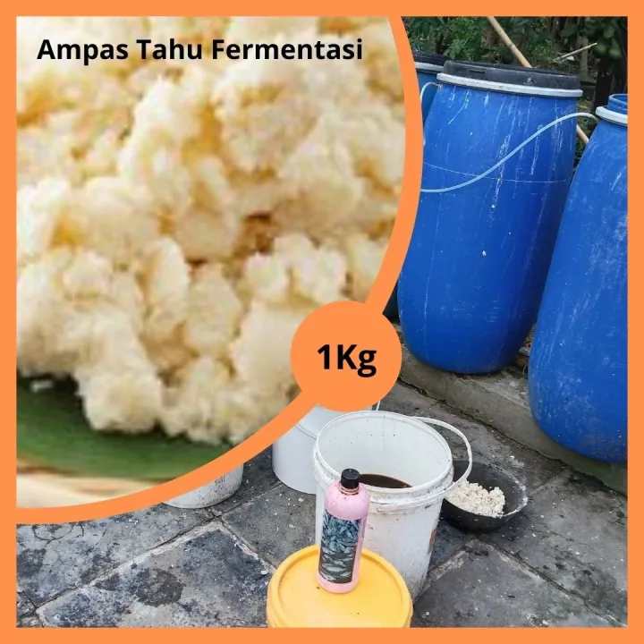 Ampas Tahu Fermentasi Pakan Ternak 1 Kilogram | Lazada Indonesia