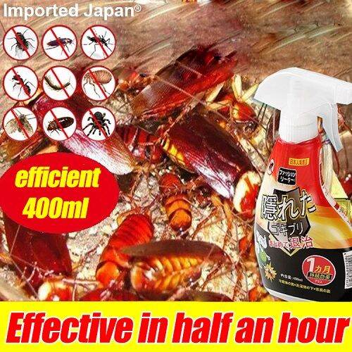 cockroaches die in 1 second👍Cockroach killer spray 400ml home One ...