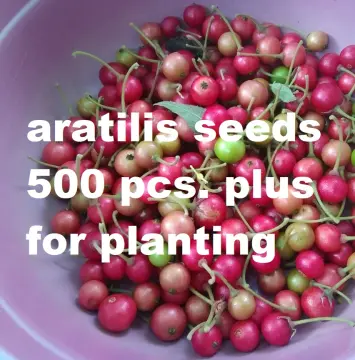 Aratilis