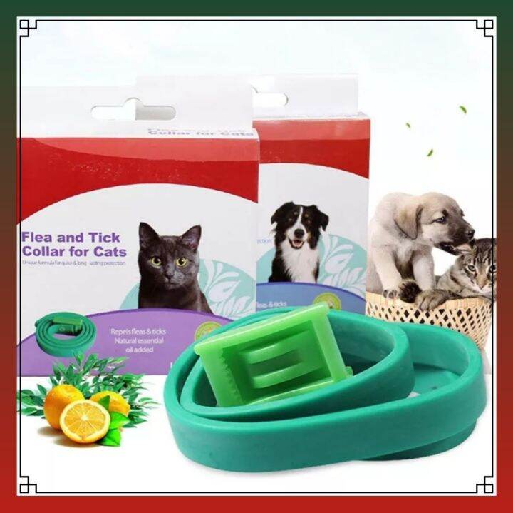 Bioline Anti Tick and Flea Collar | Lazada PH