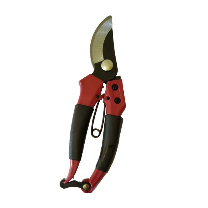 Gunting Dahan Stek Ranting Stainless Steel Freed 8 Inch Inci Gunting ...