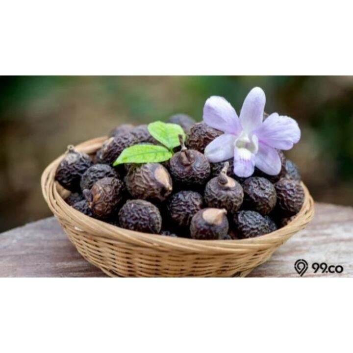 BUAH LERAK-WERAK-KLERAK KERING PREMIUM PILIHAN GROSIR LEBIH MURAH-1KG ...